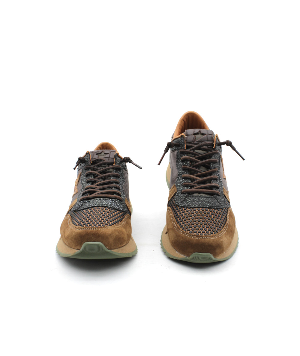 CETTI C1301 GOMINO Baskets Hommes Cuir Marron | L'Empreinte Chaussures